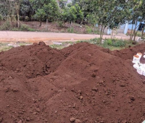 Những Loại Đất phù hợp trồng sầu riêng ở Việt Nam